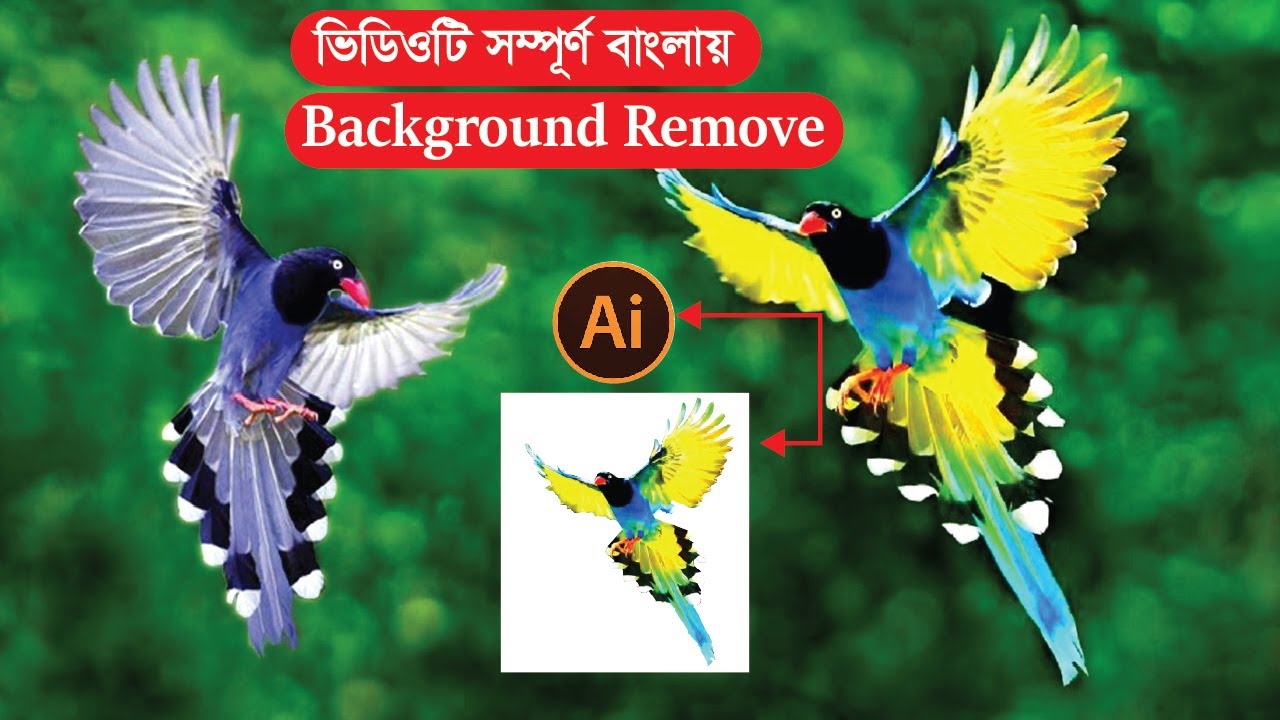 how to make a adobe illustrator background remover. remove background ...
