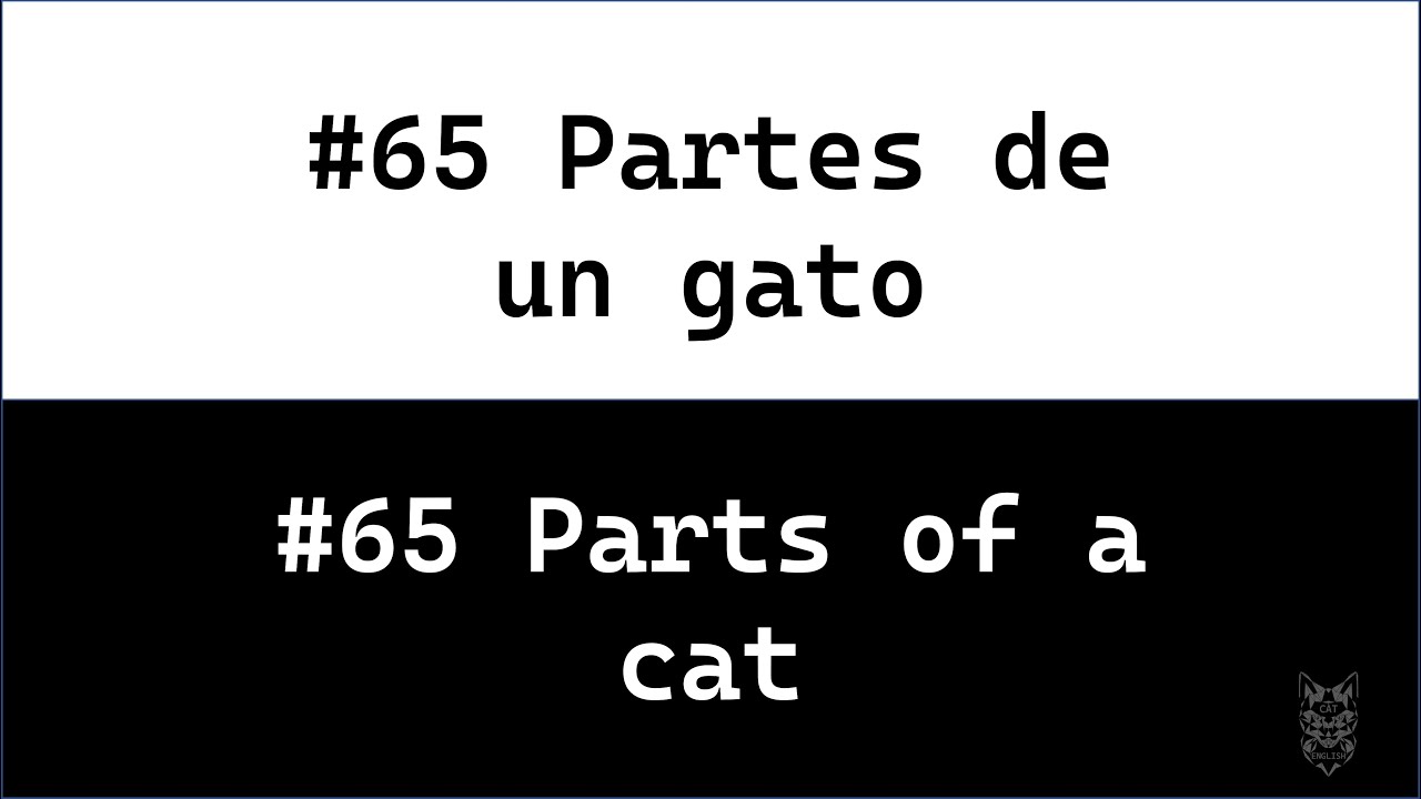 #65 Parts of a Cat/Partes de un gato/learn/study/pronunciación en ...