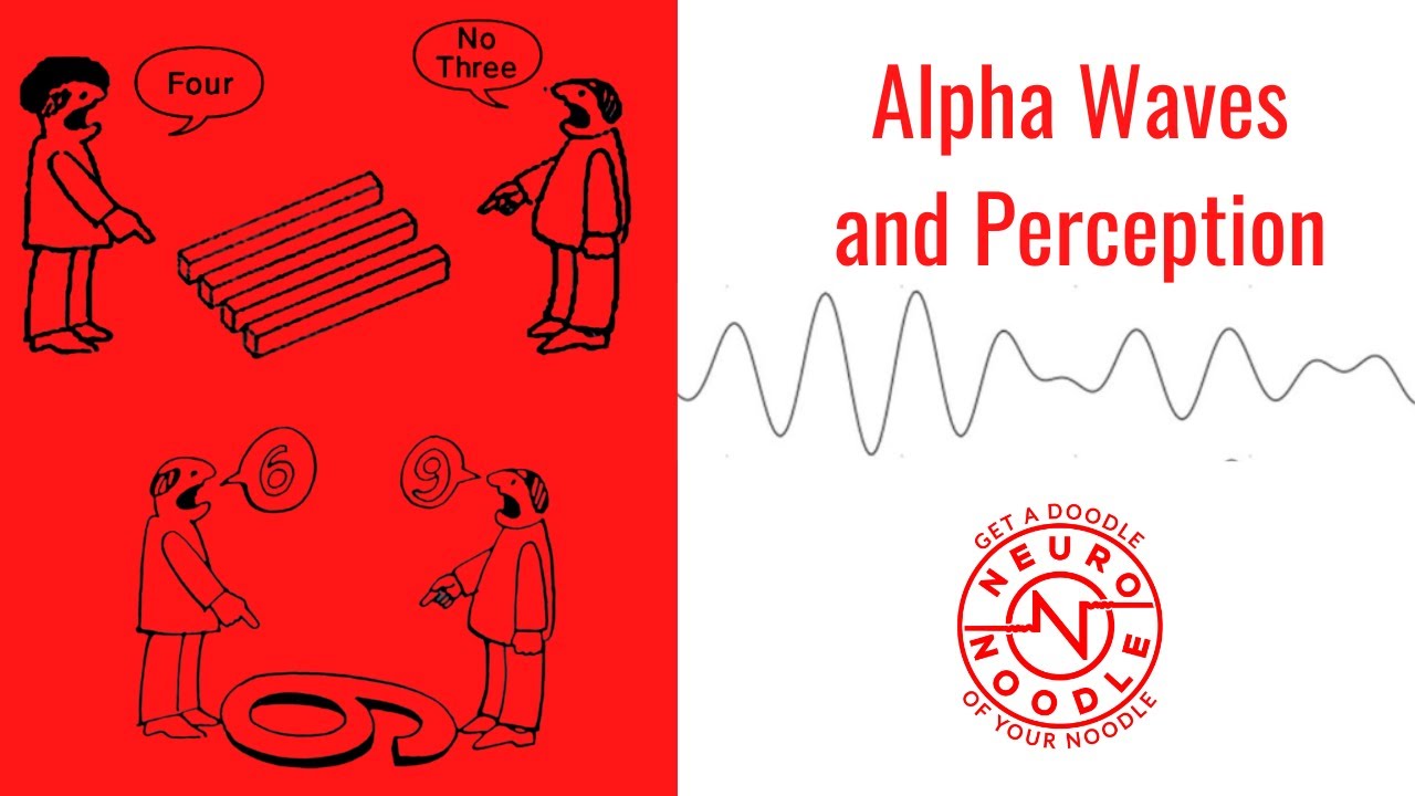 Alpha Waves and Perception - YouTube