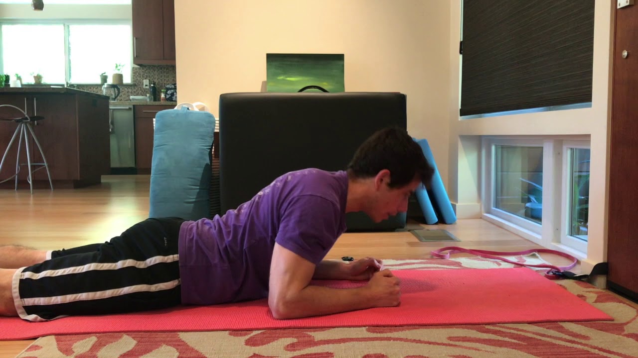 Prone Cobra exercise - YouTube