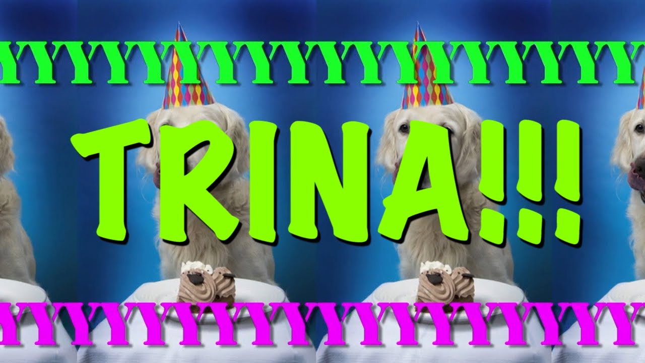 HAPPY BIRTHDAY TRINA! - EPIC Happy Birthday Song - YouTube
