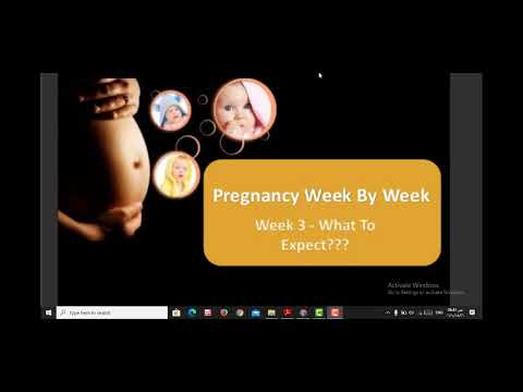 Third week of pregnancy #anatomy #anatomy_embryo - YouTube