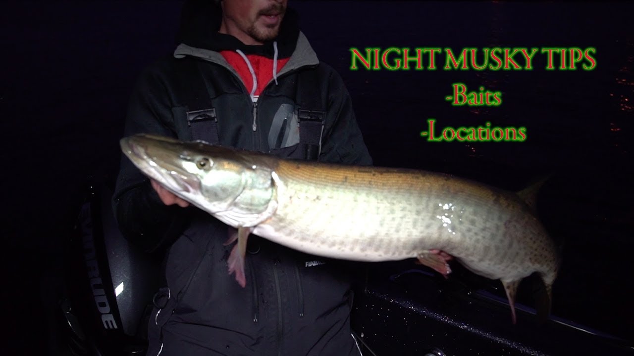 MIDNIGHT MUSKY and Walleye (Late Fall Fishing Finesse) - YouTube