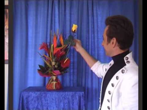 Color Changing Rose - Trick - Flower Magic - China Magic Shop ...