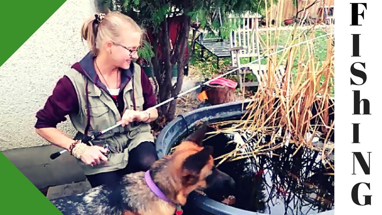 Back yard Fishing with German Shepherd - YouTube