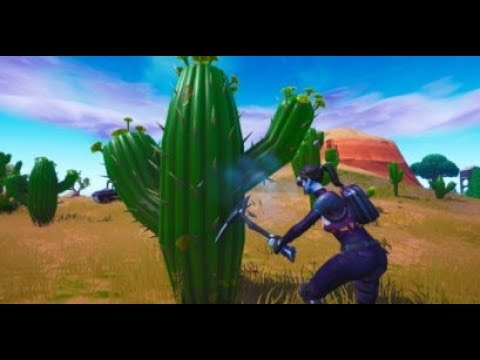 Fortnite - Destroy Cacti in the Desert Location, Stage 1, Destroy 30 ...