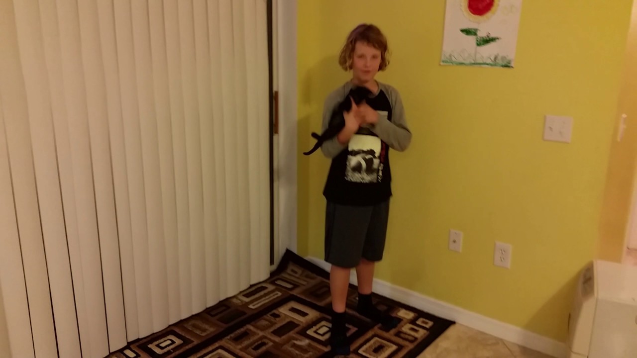 Adam the cool kid - intro - YouTube