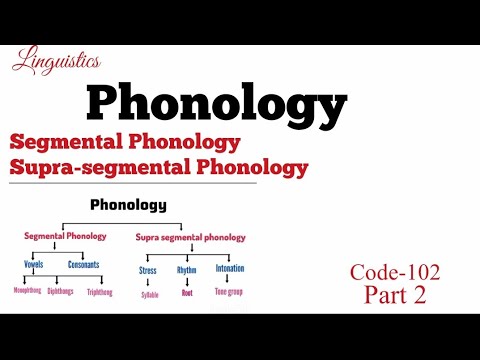 phonology and its branches| segmental and suprasegmental phonology ...