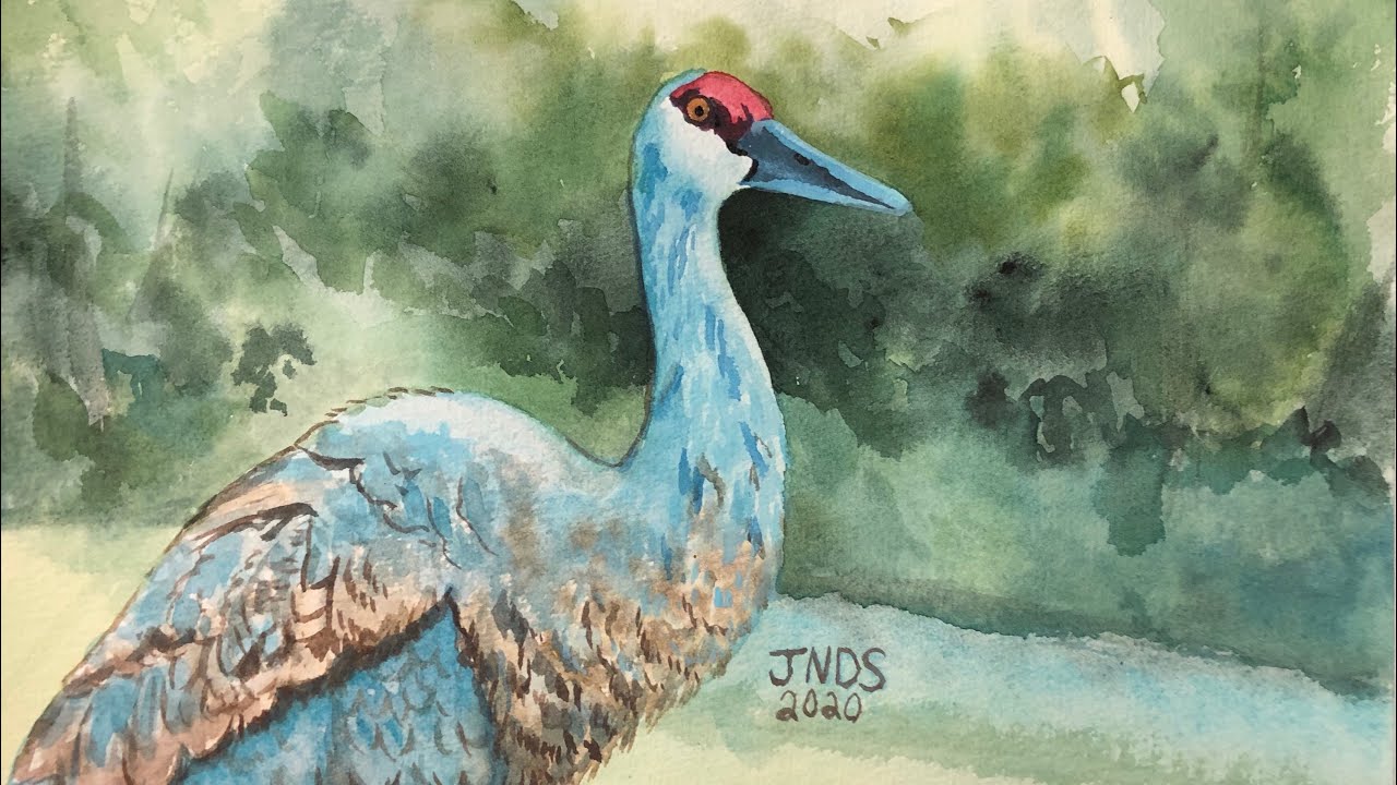 Crane Watercolour Time-lapse - YouTube