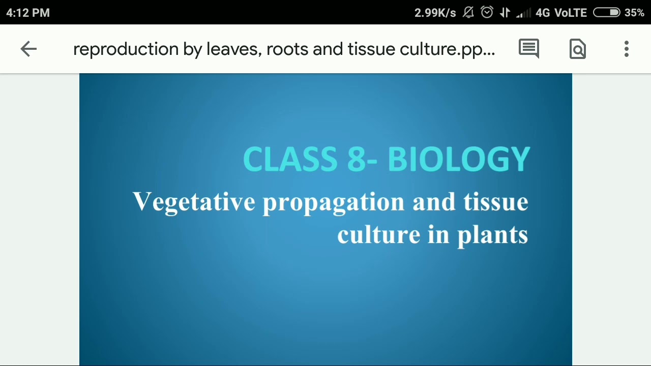 Vegetative propagation and tissue culture in plants - YouTube