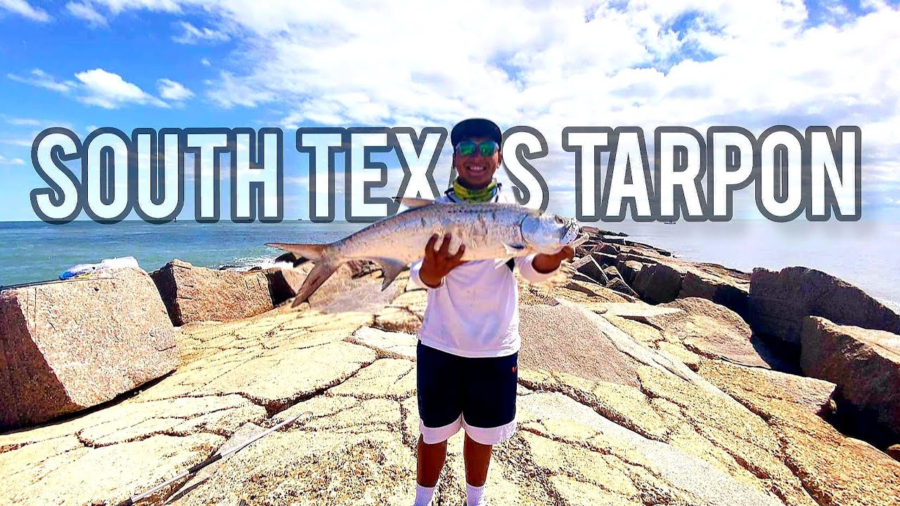 Texas Tarpon and Bull Reds at Port A Jetties - YouTube