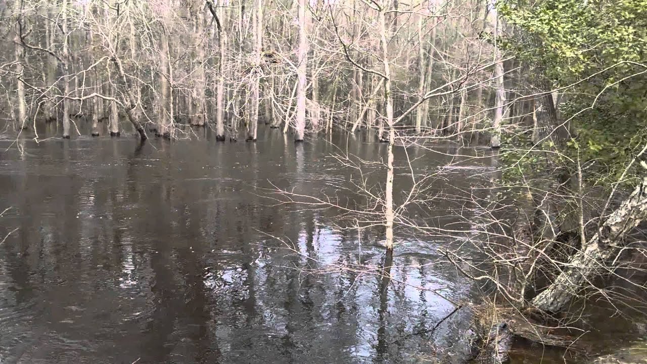 South River Garland NC - YouTube