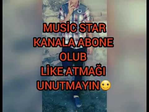 Haminin axtardigi mahni