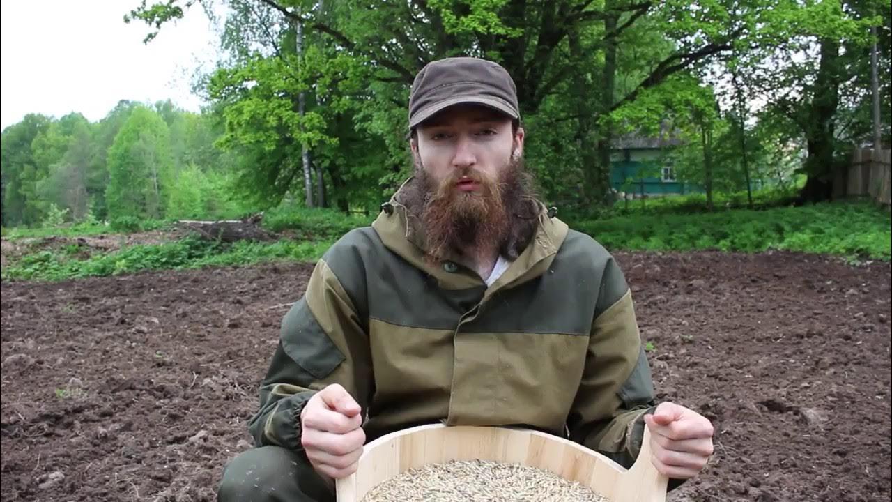 Посев зерновых - YouTube