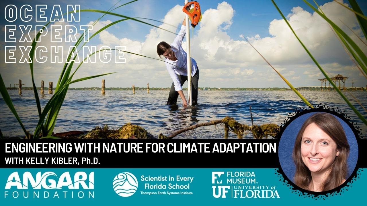 Engineering with Nature for Climate Adaptation - YouTube