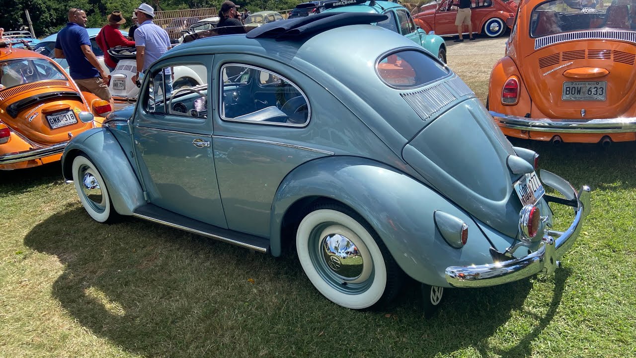 Volkswagen Show in Salinas, Puerto Rico. 150+ VW’s. Good food and ...