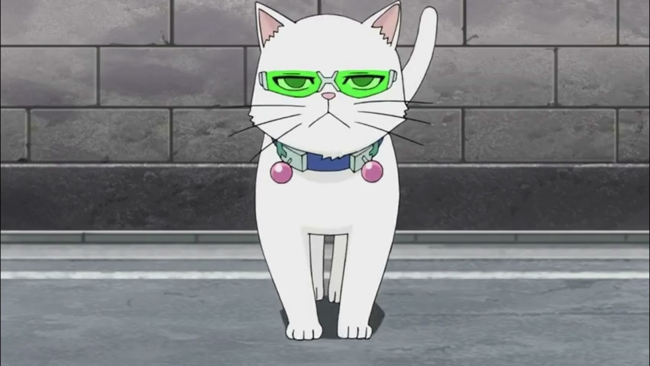 Saiki slaps cat as a cat - YouTube