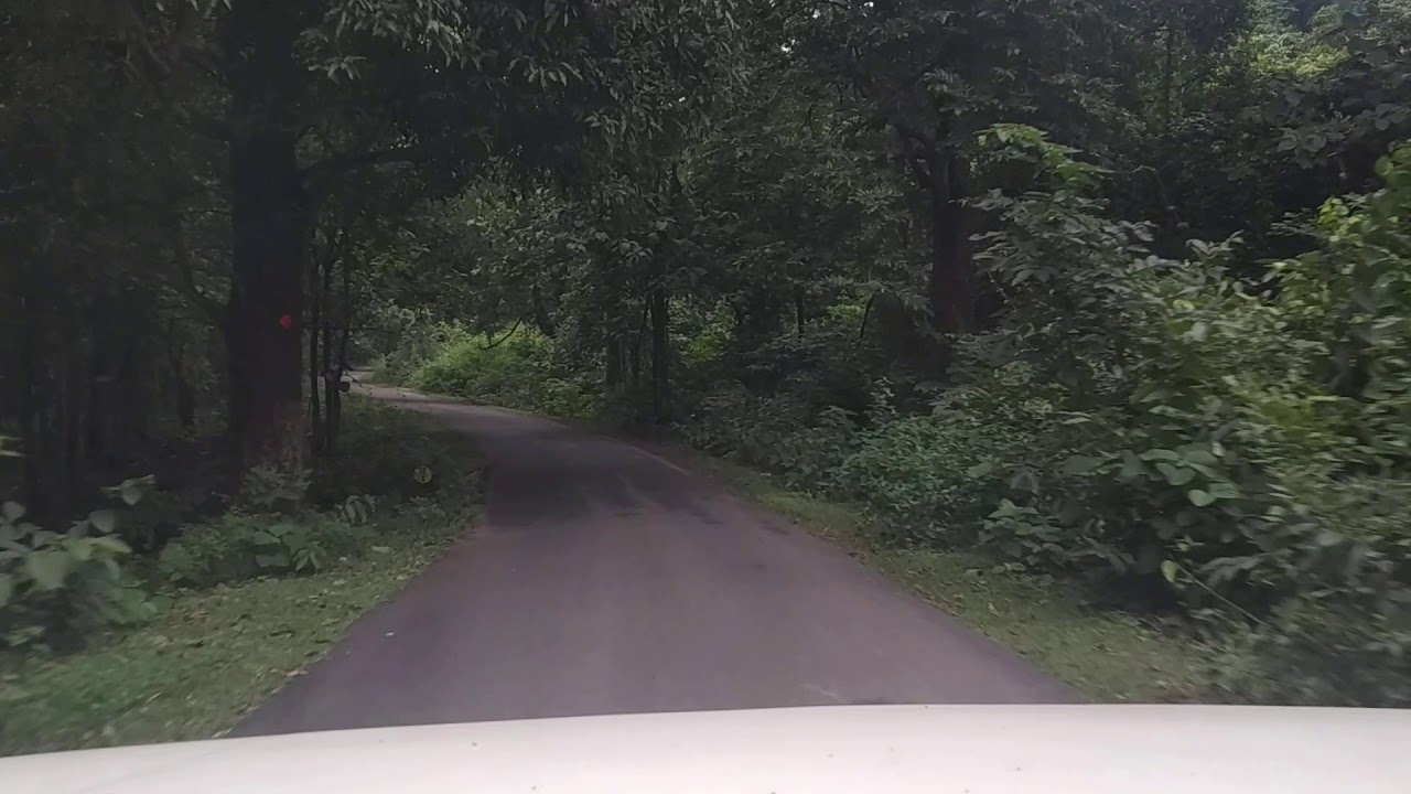 Satkosia Tikarpada Tiger Reserve Forest - YouTube