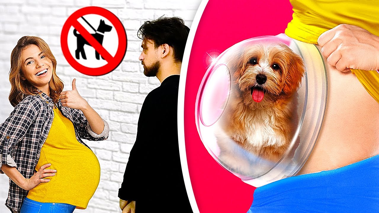 TRUCOS PARA MASCOTAS || 32 TRUCOS EXTRAÑOS PARA LOS QUE TIENEN MASCOTAS ...
