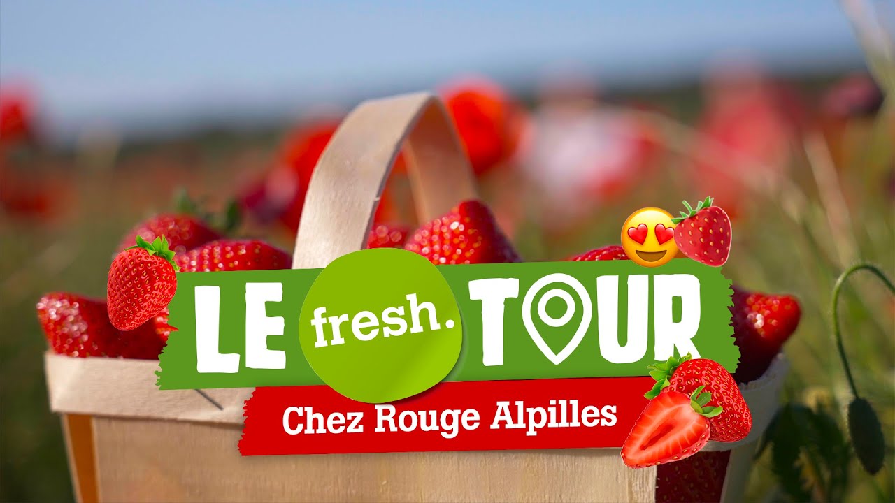 Le fresh. tour : à la découverte de notre producteur de fraises ! - YouTube