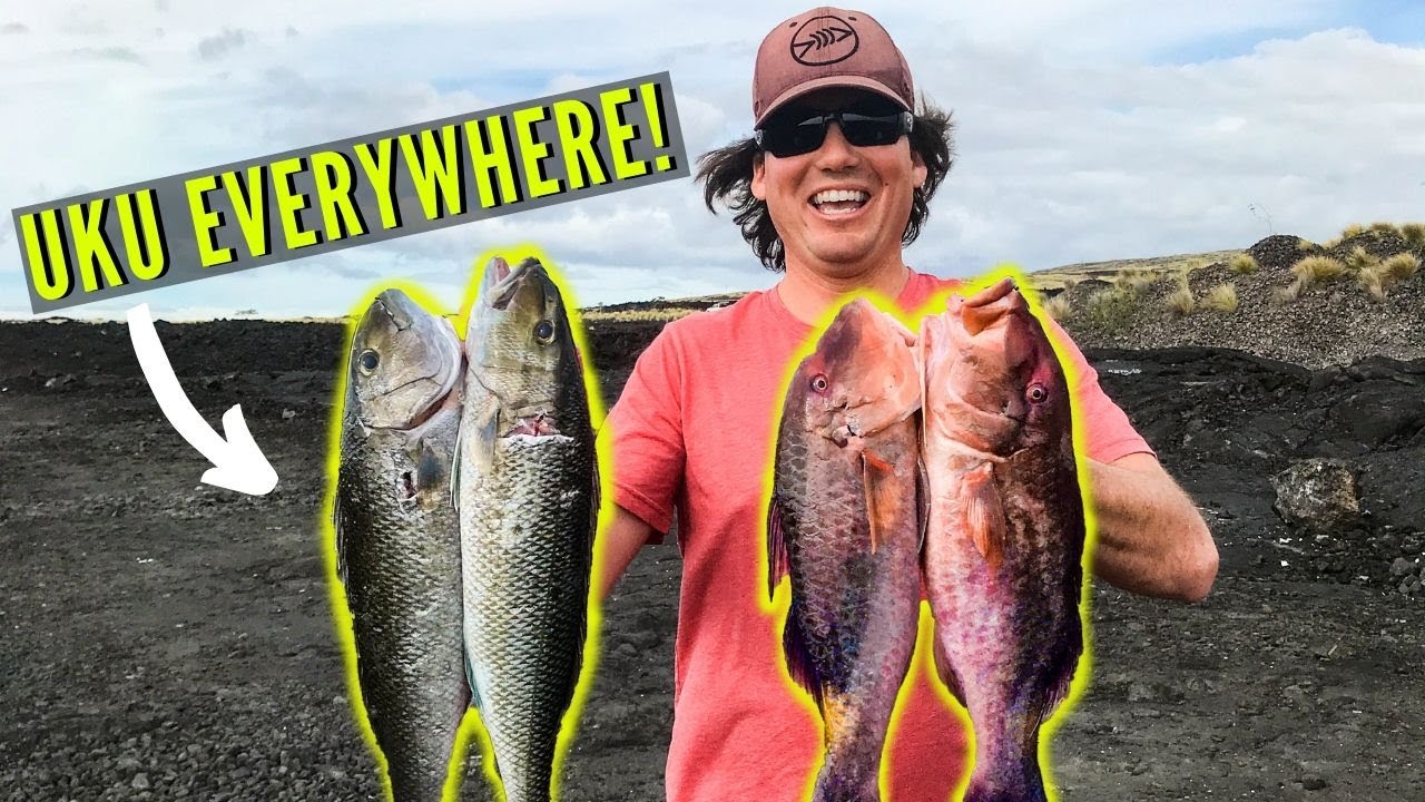 Spearfishing Hawaii GIANT GOATFISH and UKU {Catch and Cook!!} - YouTube