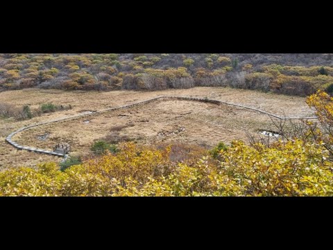 SWT 대암산 용늪(강원도 인제군 가이리, 강원도 인제군 서흥면 산 170) - YouTube