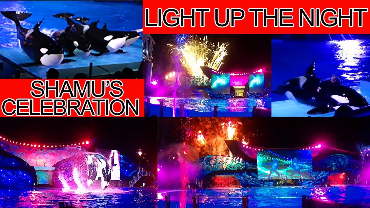 Seaworld Orlando Shamus Celebration Light Up The Night Shamu Night Show Seaworld Night