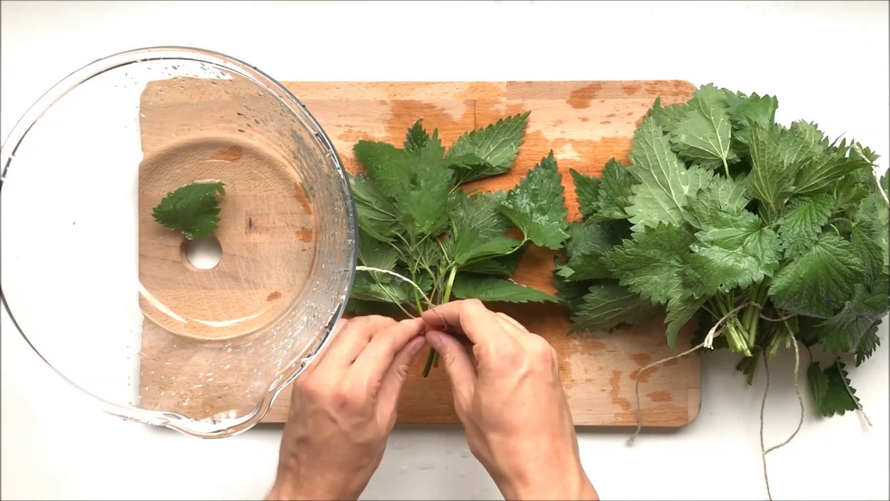 Brennessel Tee selber machen. Anleitung: Blätter trocknen für Winter ...