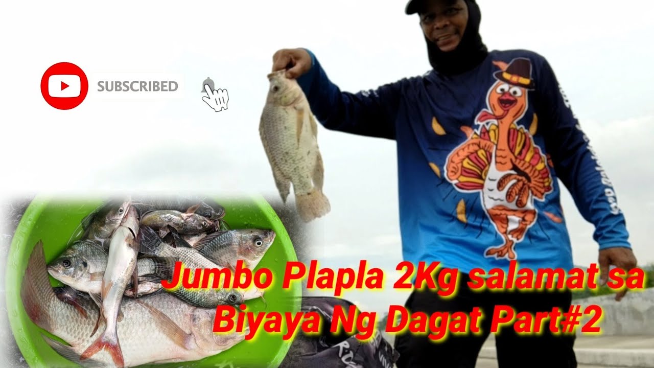 Part #2 Pang Dose Arya Jackpot sa 2Kg Malaking Tilapia/Kanduli Fishing ...