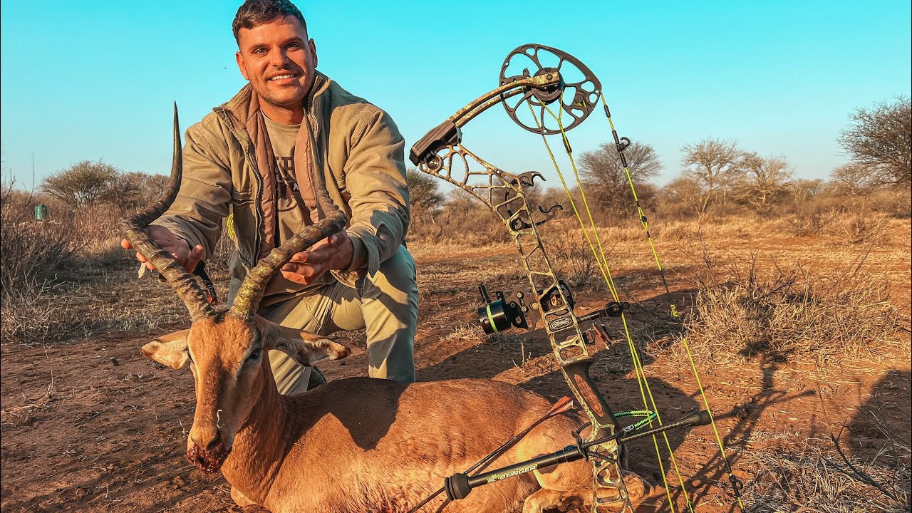 Bow hunting trophy Impala - South Africa - YouTube