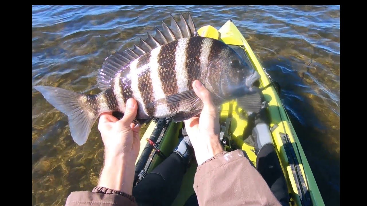 Cuban YoYo Fishing (EASY) - YouTube