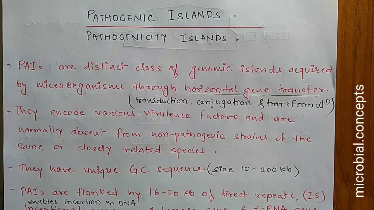 Pathogenicity / pathogenic Islands - YouTube