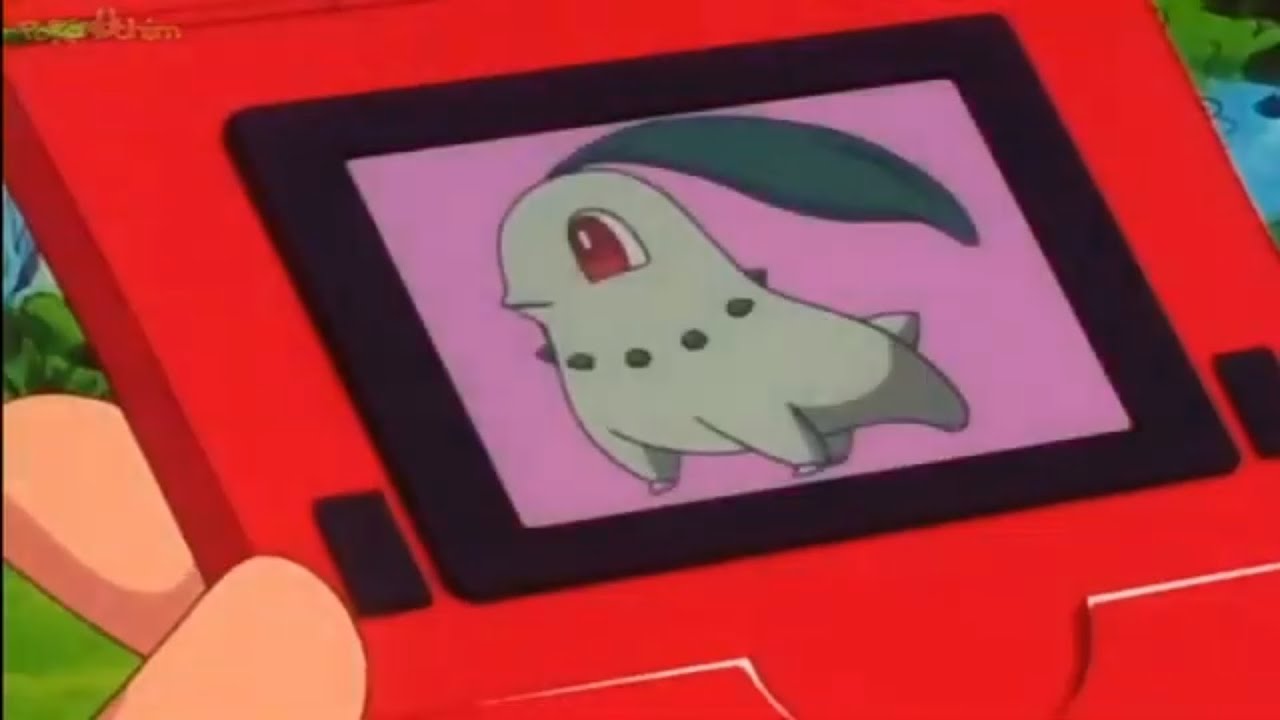 pokedex #152 Chikorita - YouTube