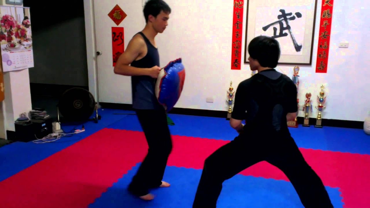 Chen style tai chi quan "Dang tou pao" fa jin (陳氏太極拳 -「當頭炮」發勁) - YouTube