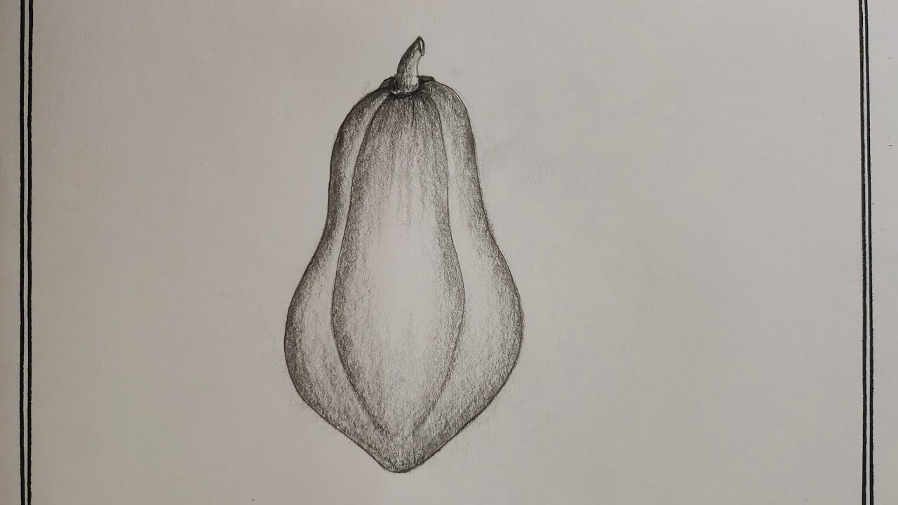 HOW TO DRAW A PAPAYA WITH PENCIL SHADING | BY SS BLOWRIA ART 🎨🖌️ - YouTube