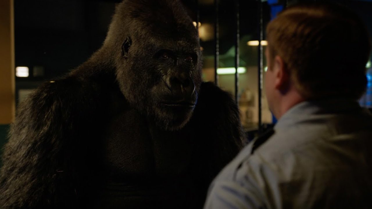 The true story of a gorilla who fought to be free from a circus cage ...