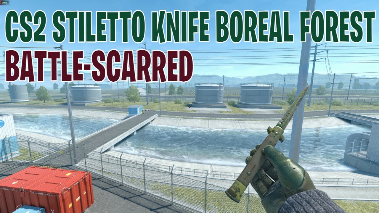Stiletto Knife Boreal Forest (Battle-Scarred) | CS2 Skin Showcase #269 ...