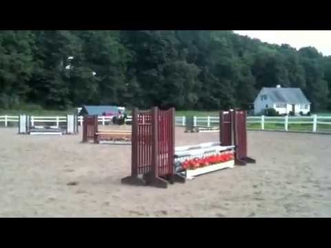 Gypsy Vanner- jumping, cantering, and pics from 2010! - YouTube