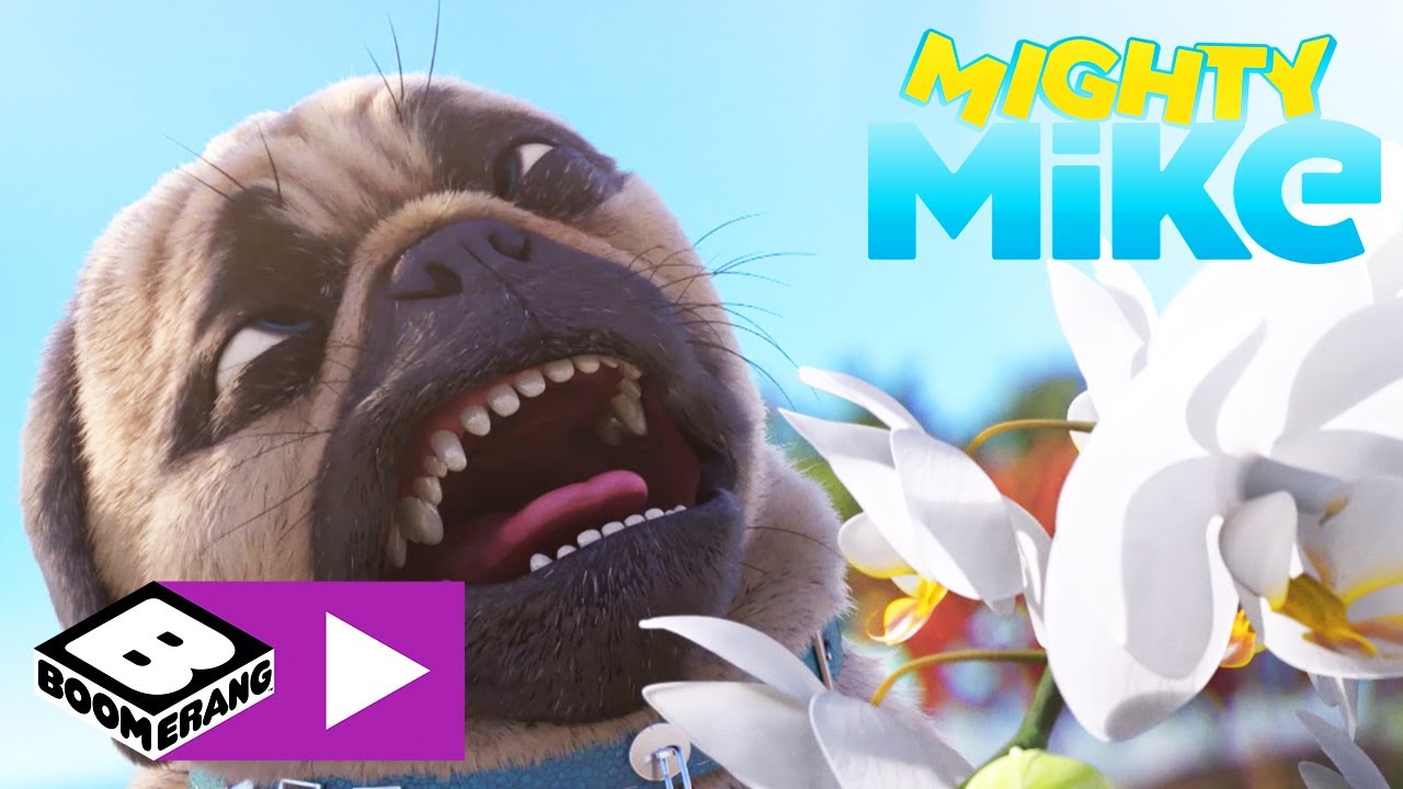 Mocny Mike | Idealny prezent | Cartoonito - YouTube