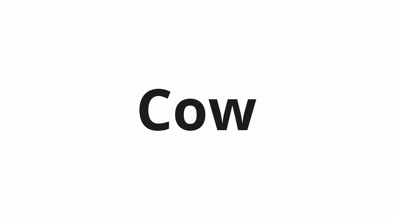 How to pronounce Cow - YouTube