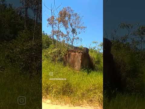 fazenda dos Resendes em Rio Melo distrito de Rio Espera MG, uma ...
