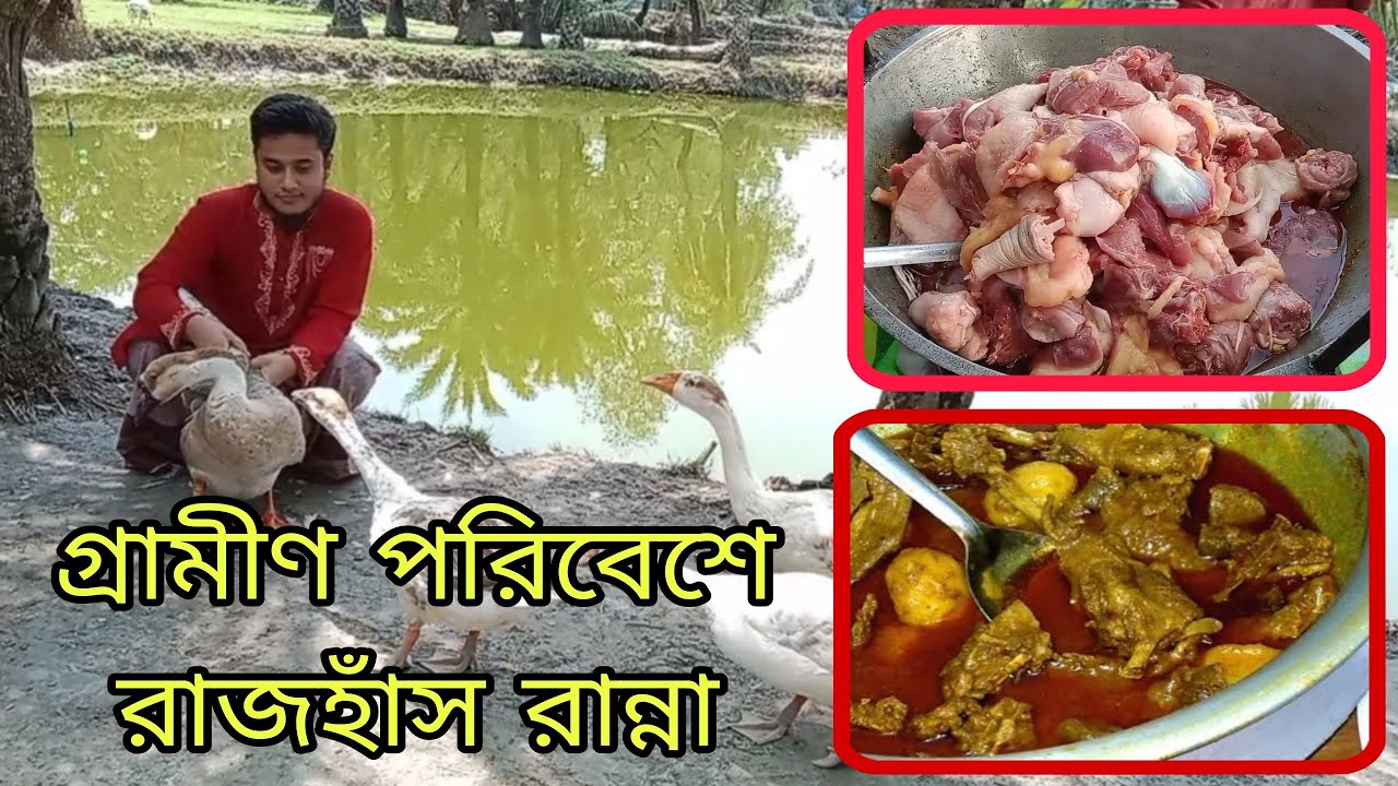 গ্রামীণ পরিবেশে হাসবেন্ডকে নিয়ে রাজহাঁস রান্না | Duck curry recipe ...