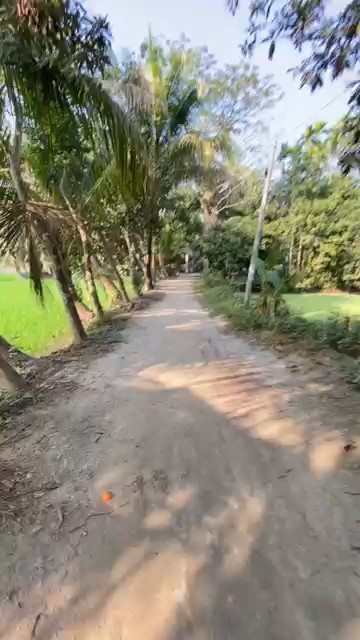 Srirampur village from Bangladesh - YouTube