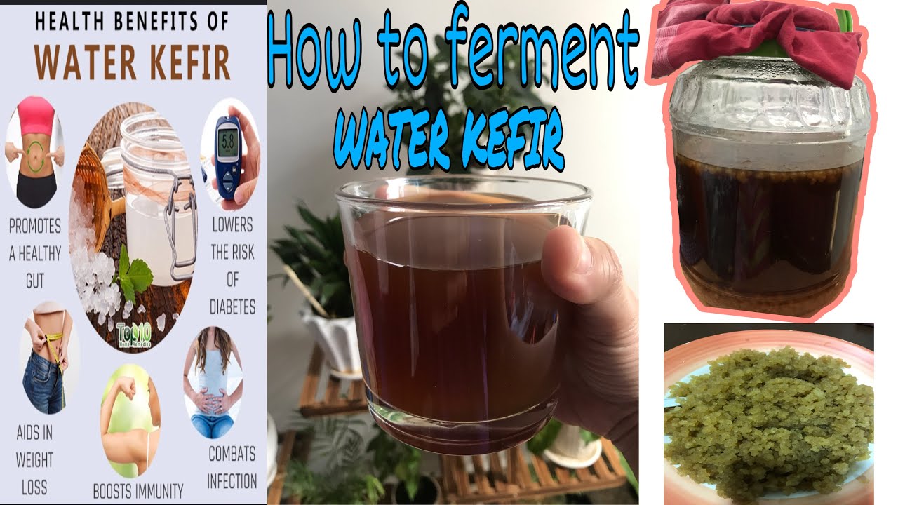 How to ferment WATER KEFIR GRAINS|| a PROBIOTIC BEVERAGE - YouTube