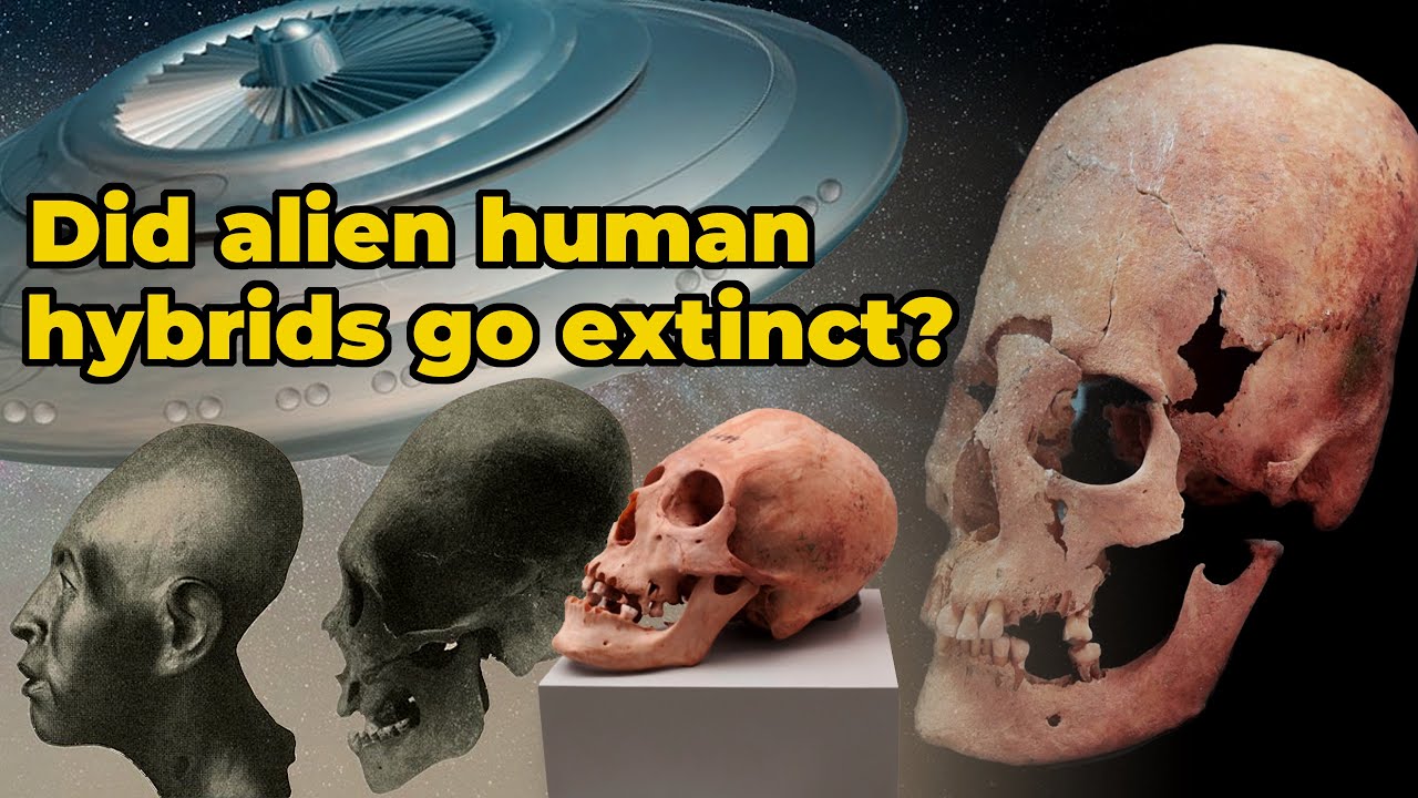 DID ALIENS GO EXTINCT? HUMAN ALIEN HYBRIDS - YouTube