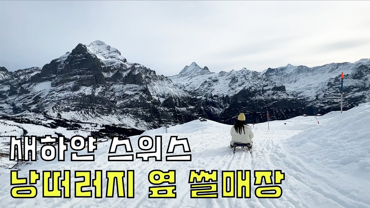 내가 생각했던 겨울 스위스 여행 그대로 융프라우 갔다가 잊지못할 썰매 타기 유럽 여행 경험 14 Vip패스로 썰매