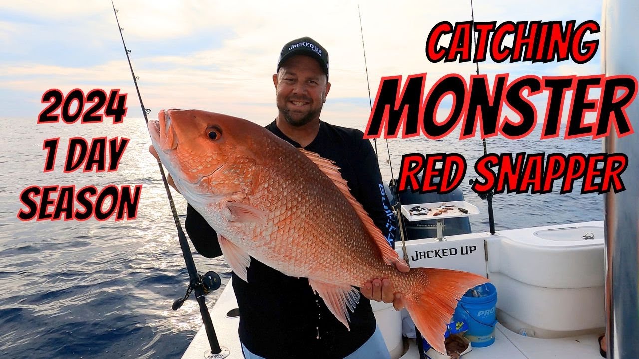 Catching MONSTER Red Snapper For The 1 DAY Season! Atlantic Federal ...