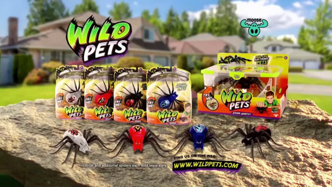 Wild Pets Паук интерактивный Moose - YouTube
