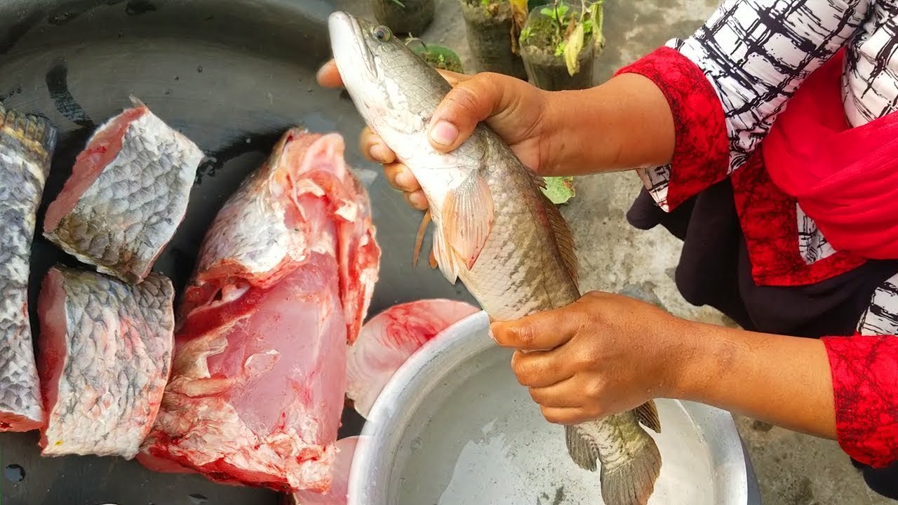 ALIVE Soil Fish Cutting & Scaling by Woman | Shol Mach Cutting - YouTube