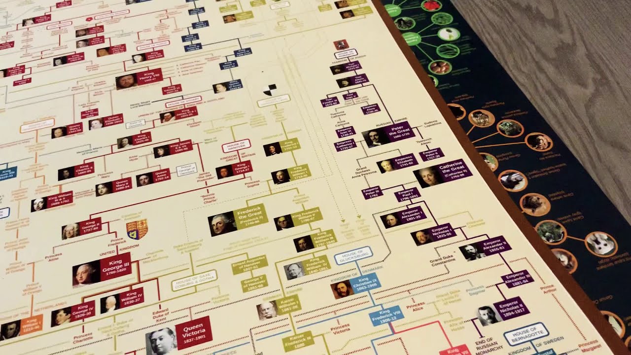 The Russian royal family tree - YouTube